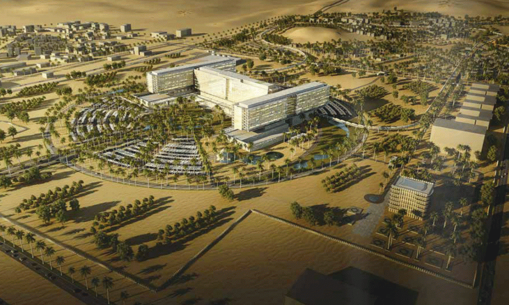 Top 10 Gulf healthcare projects